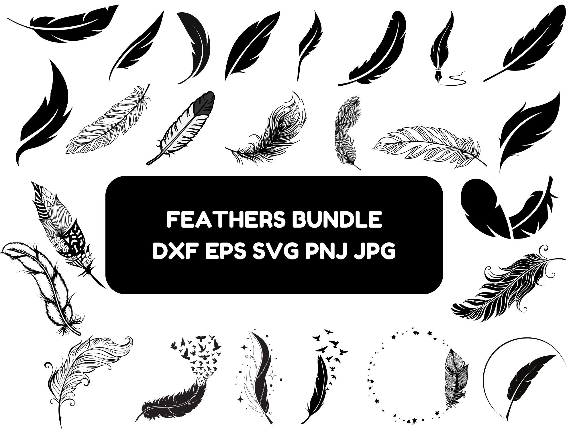 Feather Svg Bundle, Feather Birds Svg, Dxf, Png, Jpg, Feathers ...