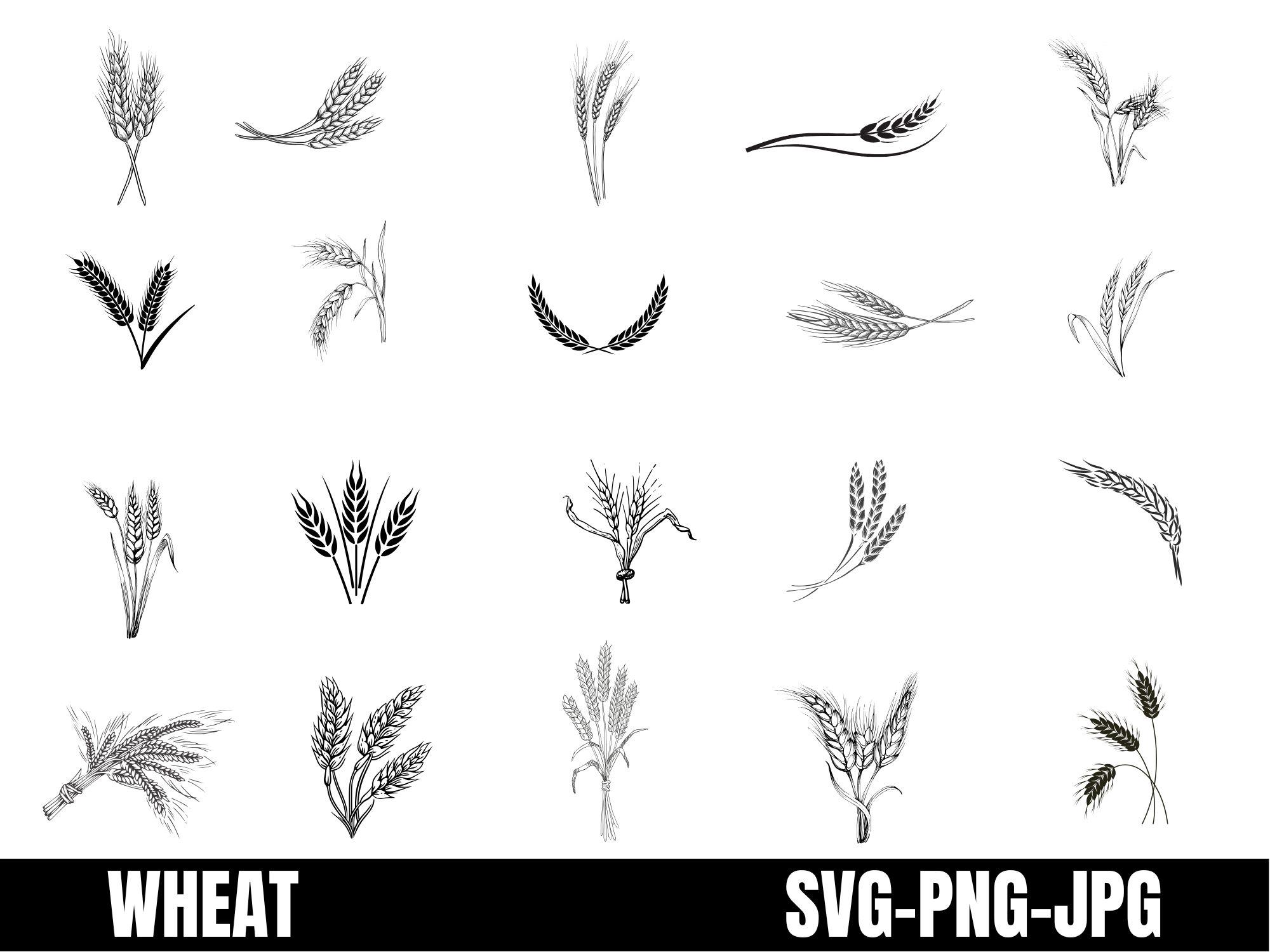 Wheat SVG Clipart: Grain Vector Cut Files (digital Download) - Etsy