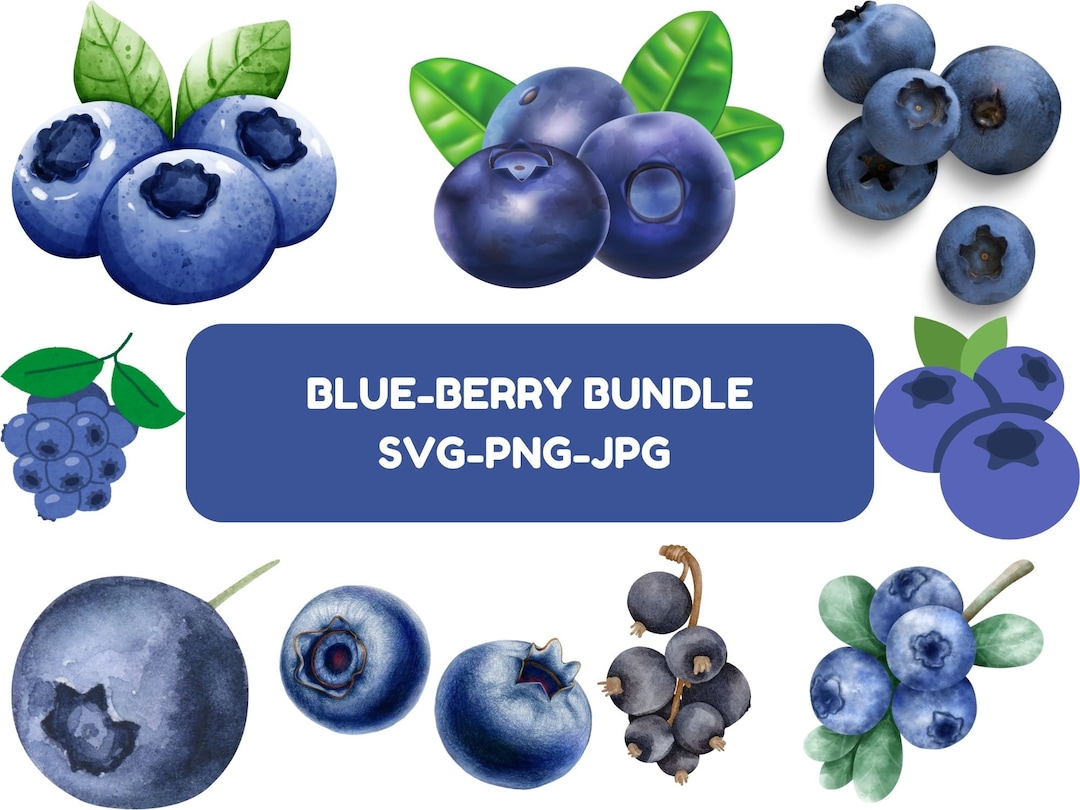 Blueberry Svg Bundle, Fruit Svg, Svg Designs, Blueberry Clipart ...