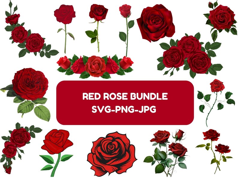 Red Rose SVG Bundle: Flower Clipart, Vector Graphics (digital Download ...