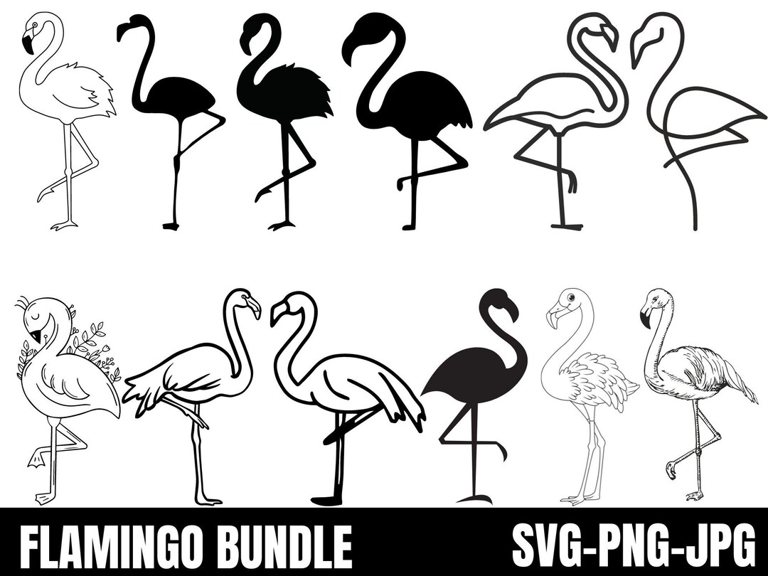 Flamingo Svg,flamingo SVG Cut File,flamingo Png,flamingo Svg for Cricut ...