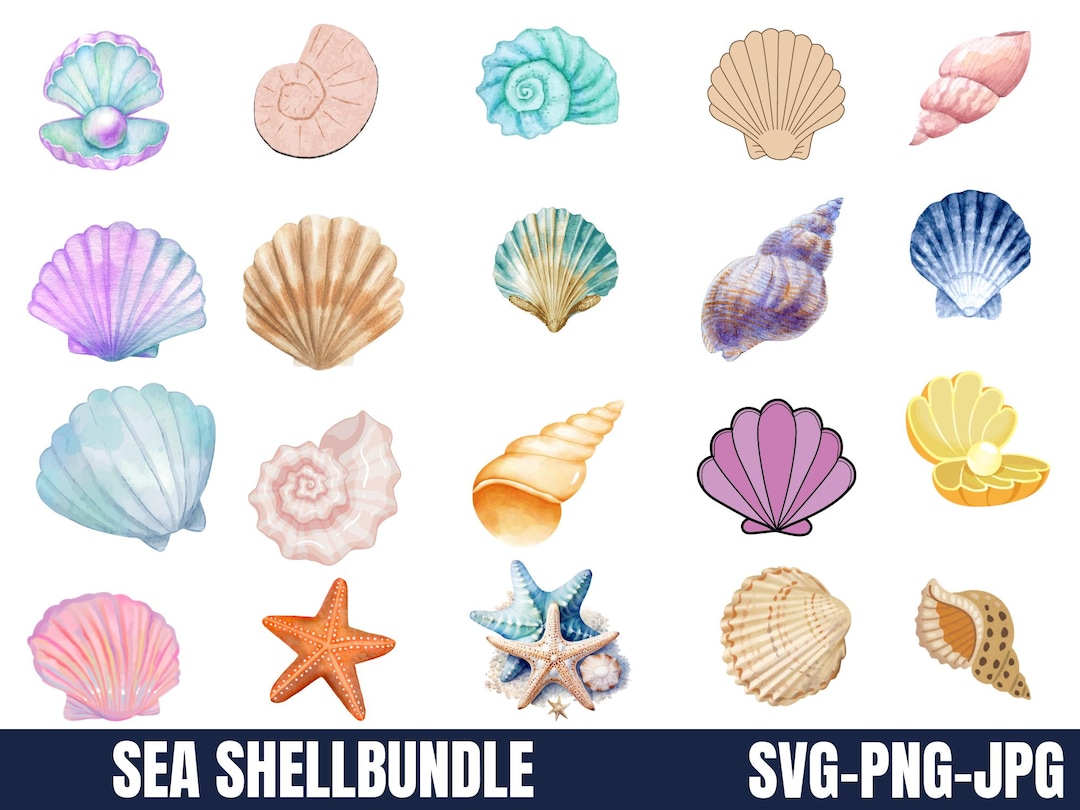 Seashell SVG, Sea Shell SVG, Beach SVG, Summer, Instant Download, Cut ...