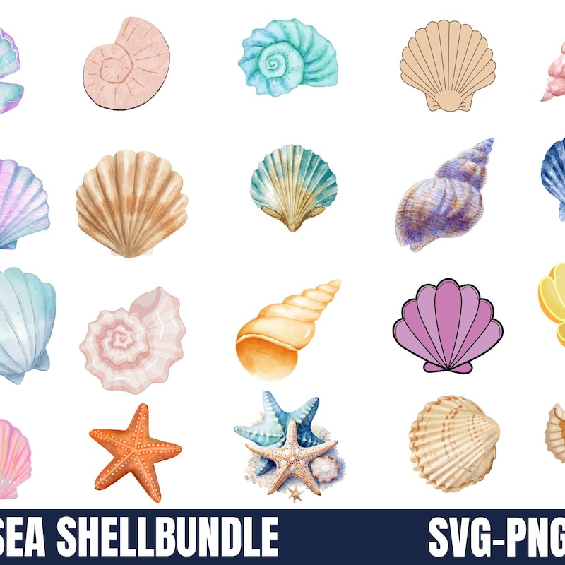 Sea Shell Svg - Etsy