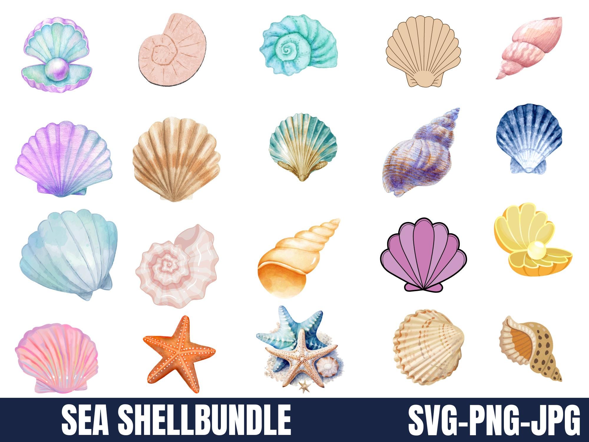 Seashell SVG, Sea Shell SVG, Beach SVG, Summer, Instant Download, Cut ...