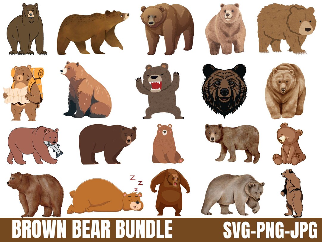 Brown Bear Clipart Bundle: SVG, PNG, JPG (digital Download) - Etsy