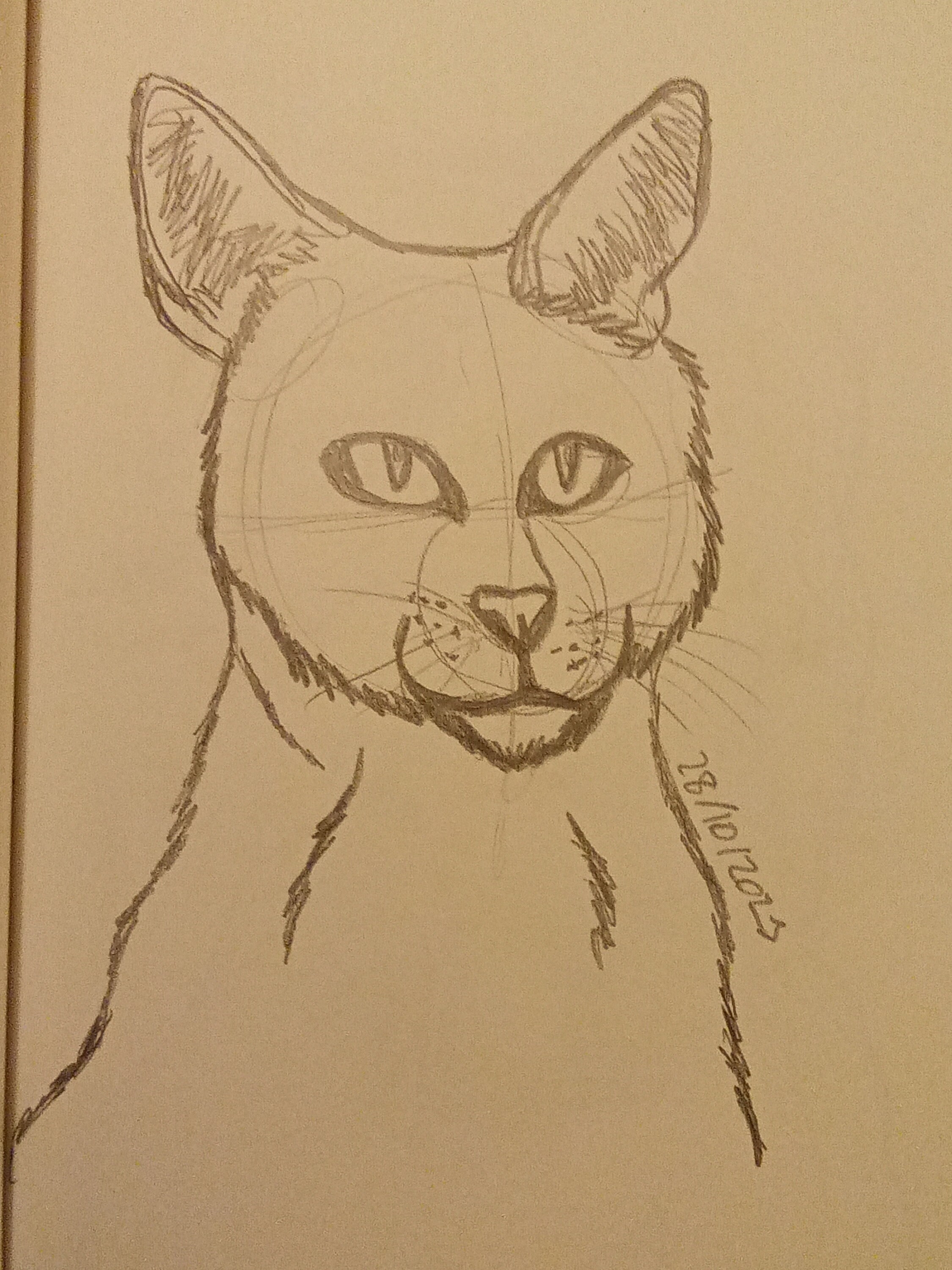 Pet/animal Portrait Commissions! - Etsy