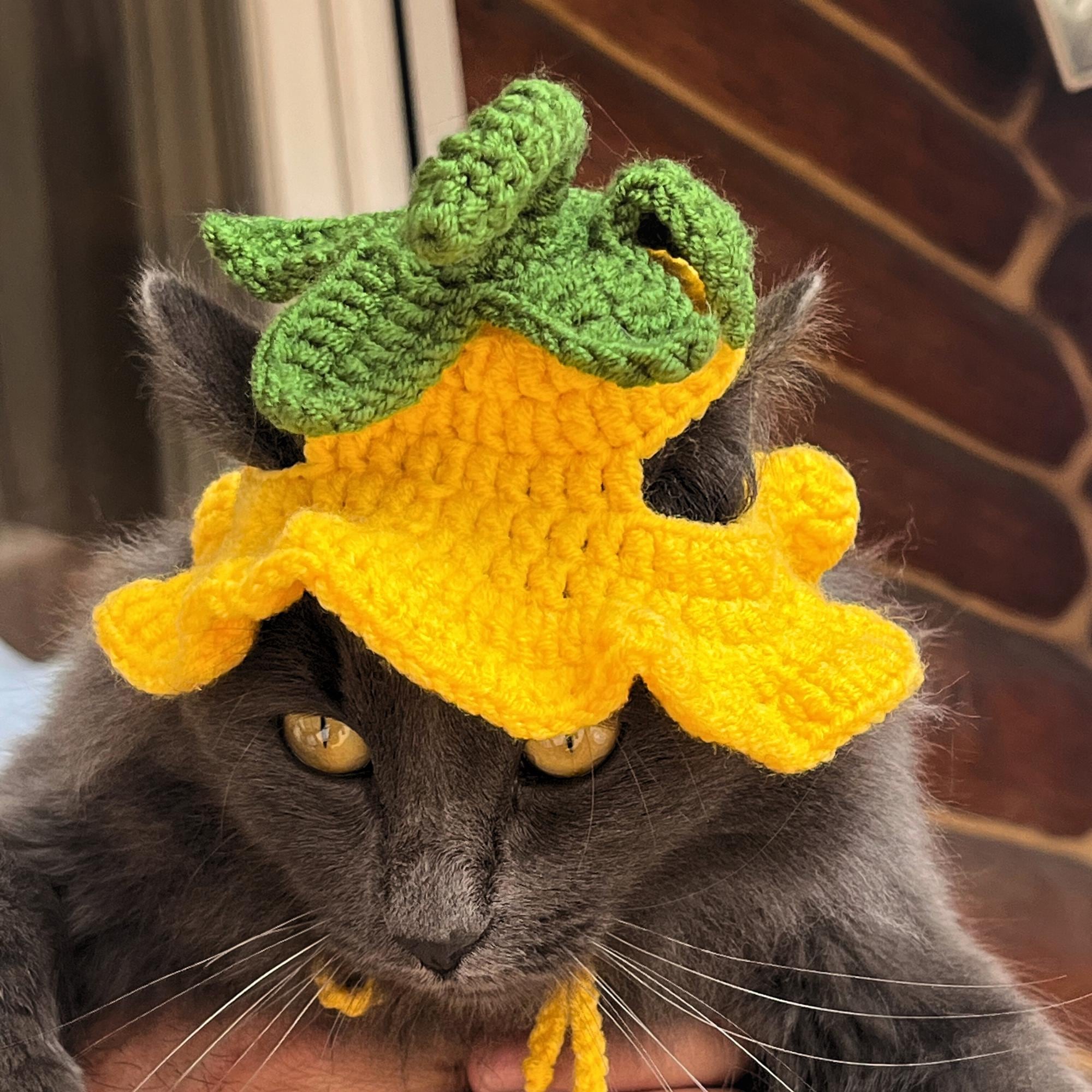 Yellow Crochet Cat Hat With Flower – Floral Fairy Hat for Cats, Cute ...