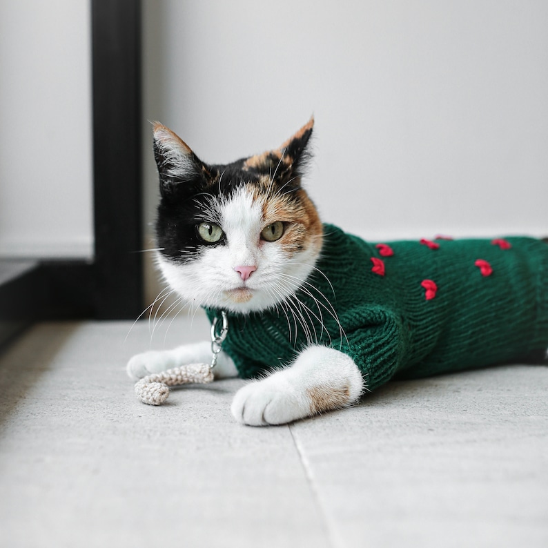 Custom Cat Sweater With Hearts Crochet - Personalized Cat Jumper, Cat ...