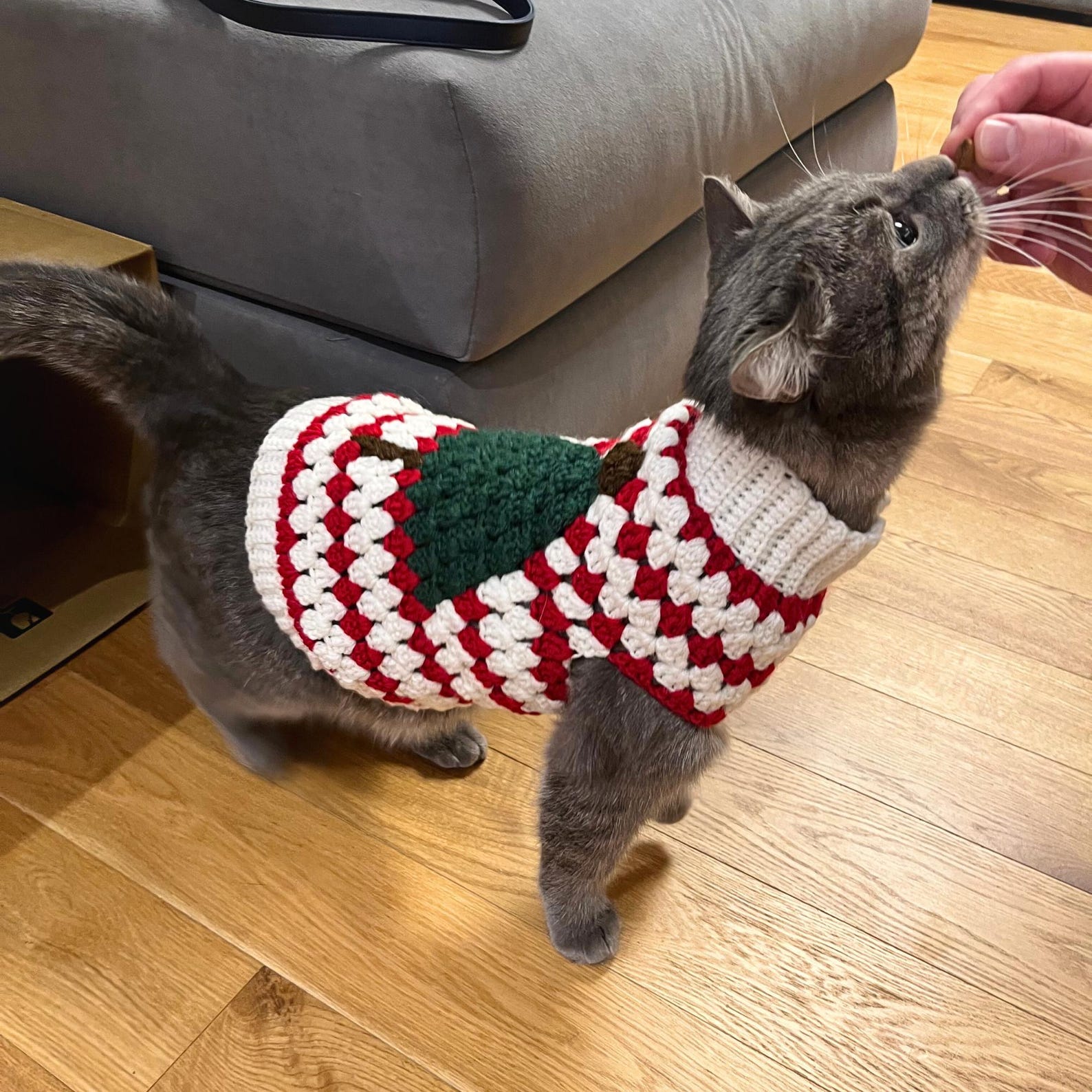 Striped Red Dog Sweater Crochet Handknitted Small Medium Dogs Cats Cozy ...
