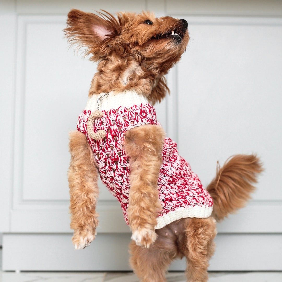 Personalized Dog Sweater - Custom Hand-knitted Dog Name Sweater for ...