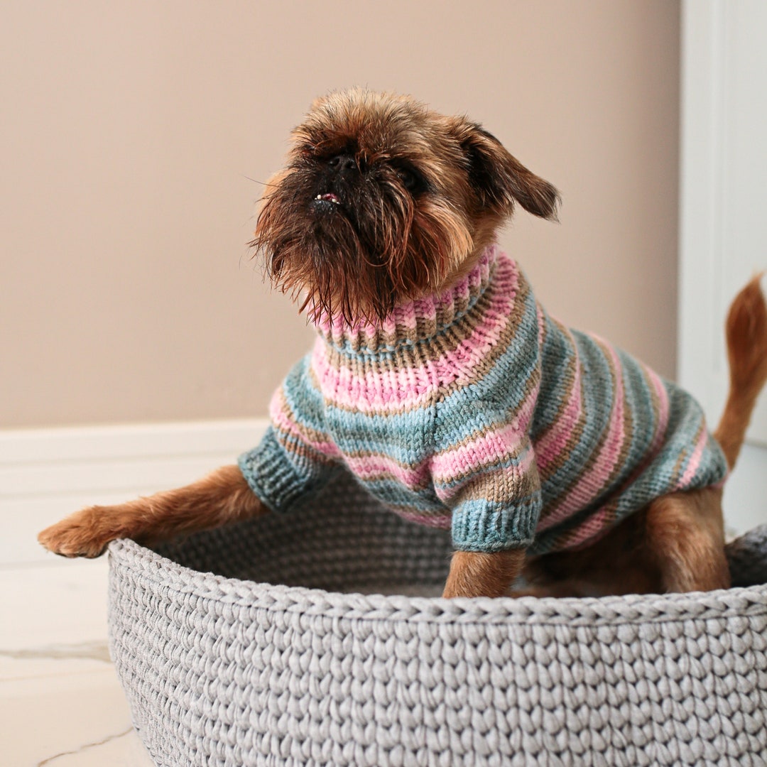 Multicolored Dog Sweater Crochet - Hand-knitted Sweater for Small and ...
