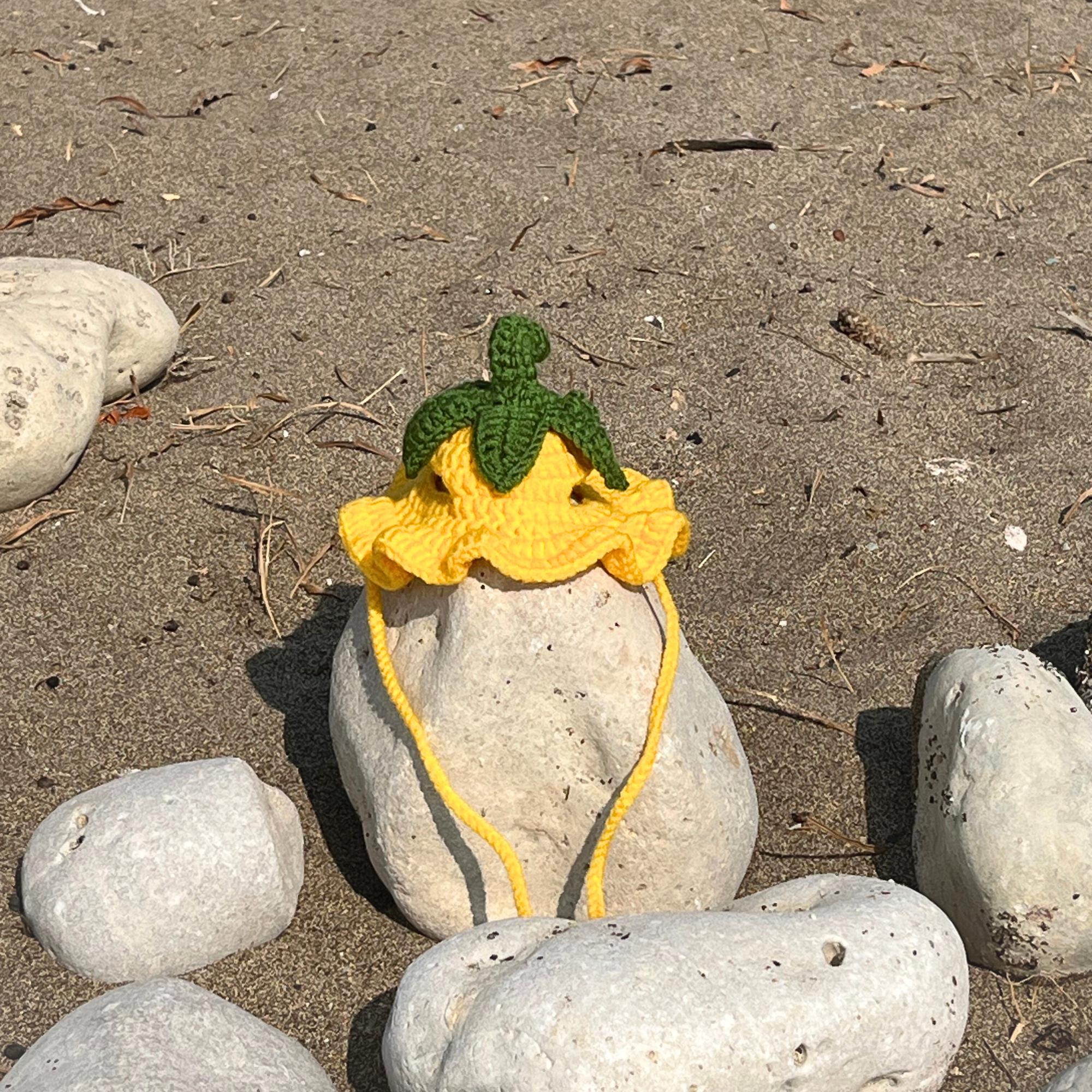 Yellow Crochet Cat Hat With Flower – Floral Fairy Hat for Cats, Cute ...