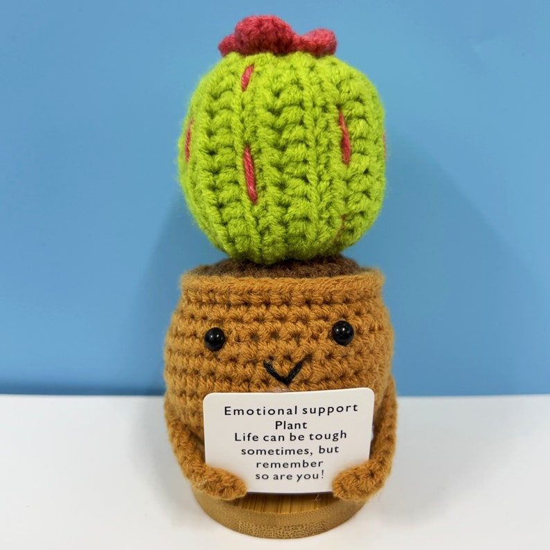 Custom Crochet Cactus/succulent Plant,emotional Support Cactus,mental Health Gift,positive Plush ...