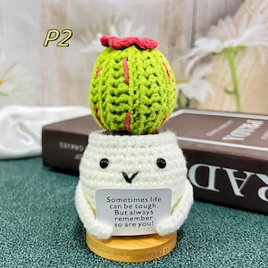 Custom Crochet Cactus/succulent Plant,emotional Support Cactus,mental ...