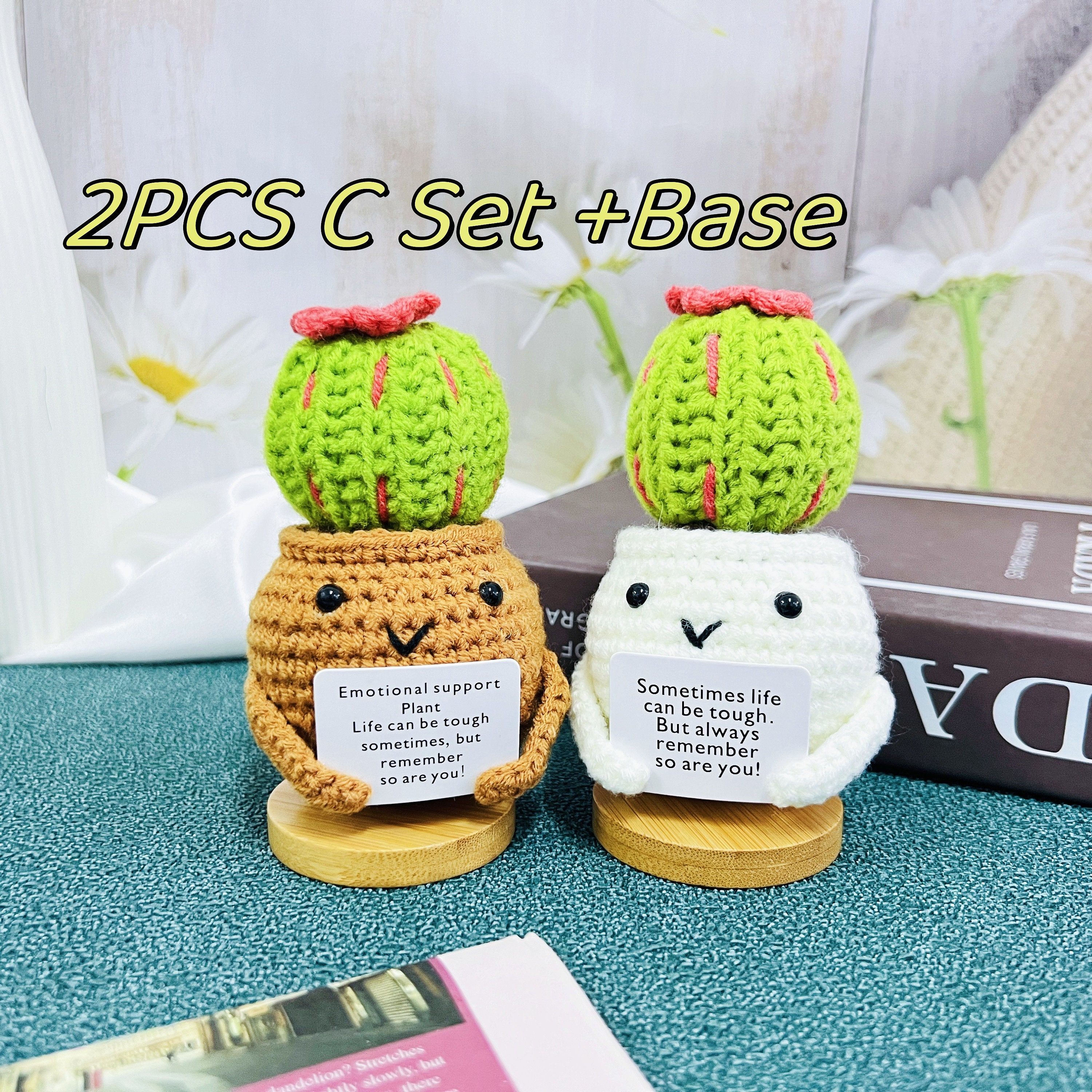 Custom Crochet Cactus/succulent Plant,emotional Support Cactus,mental ...