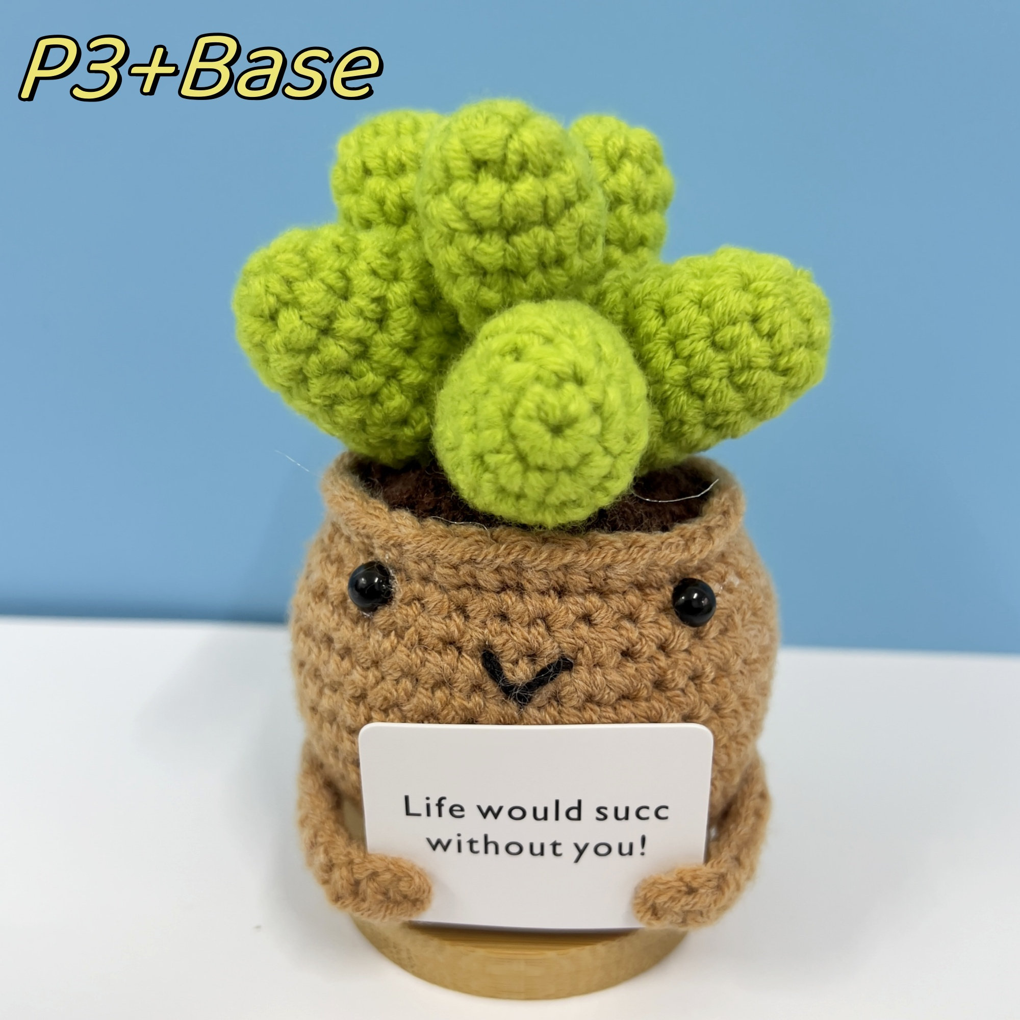 Custom Crochet Cactus/succulent Plant,emotional Support Cactus,mental ...