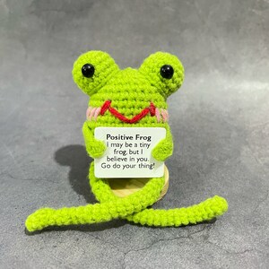 Emotional Support Sunflower+positive Frog Finished Product ...