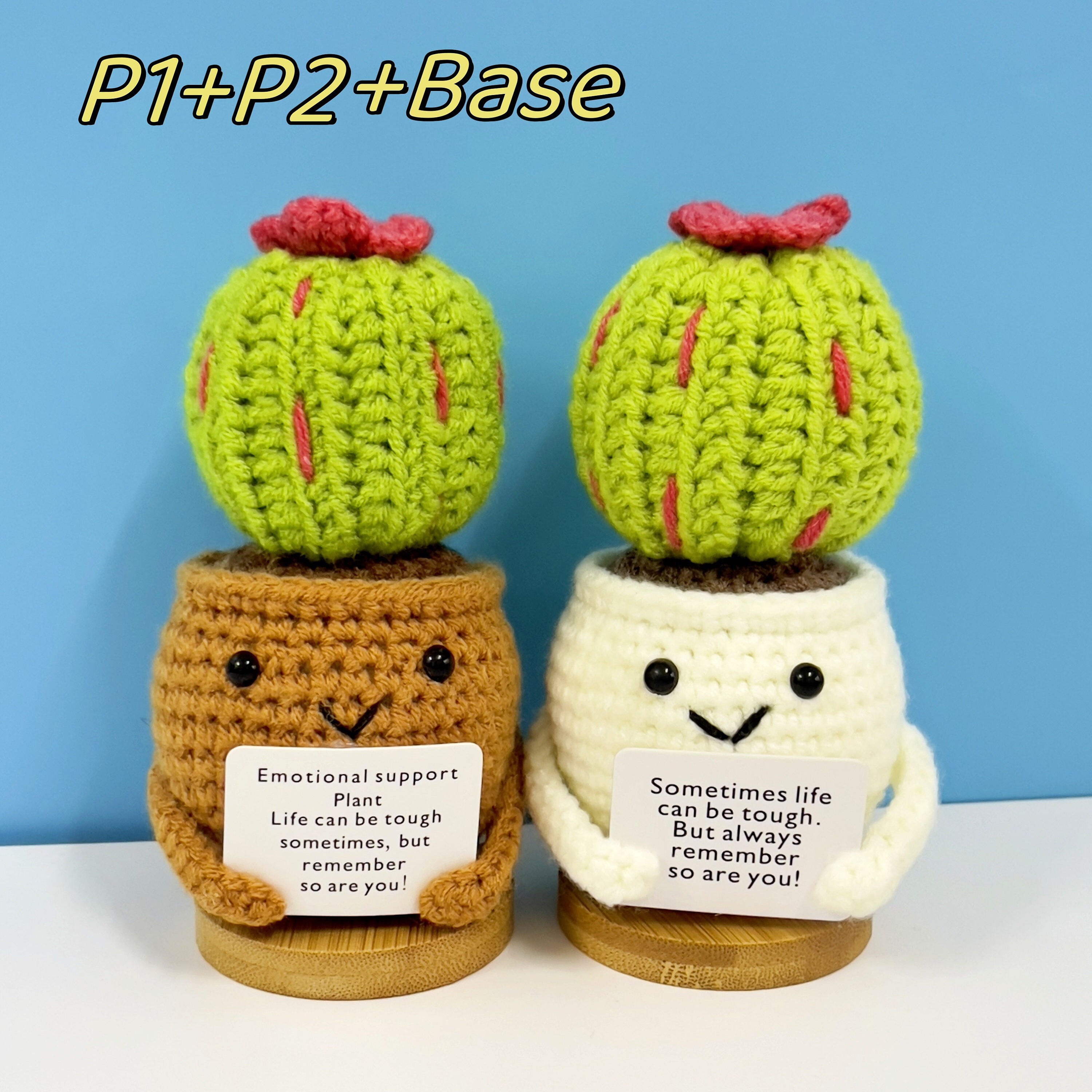 Custom Crochet Cactus/succulent Plant,emotional Support Cactus,mental ...