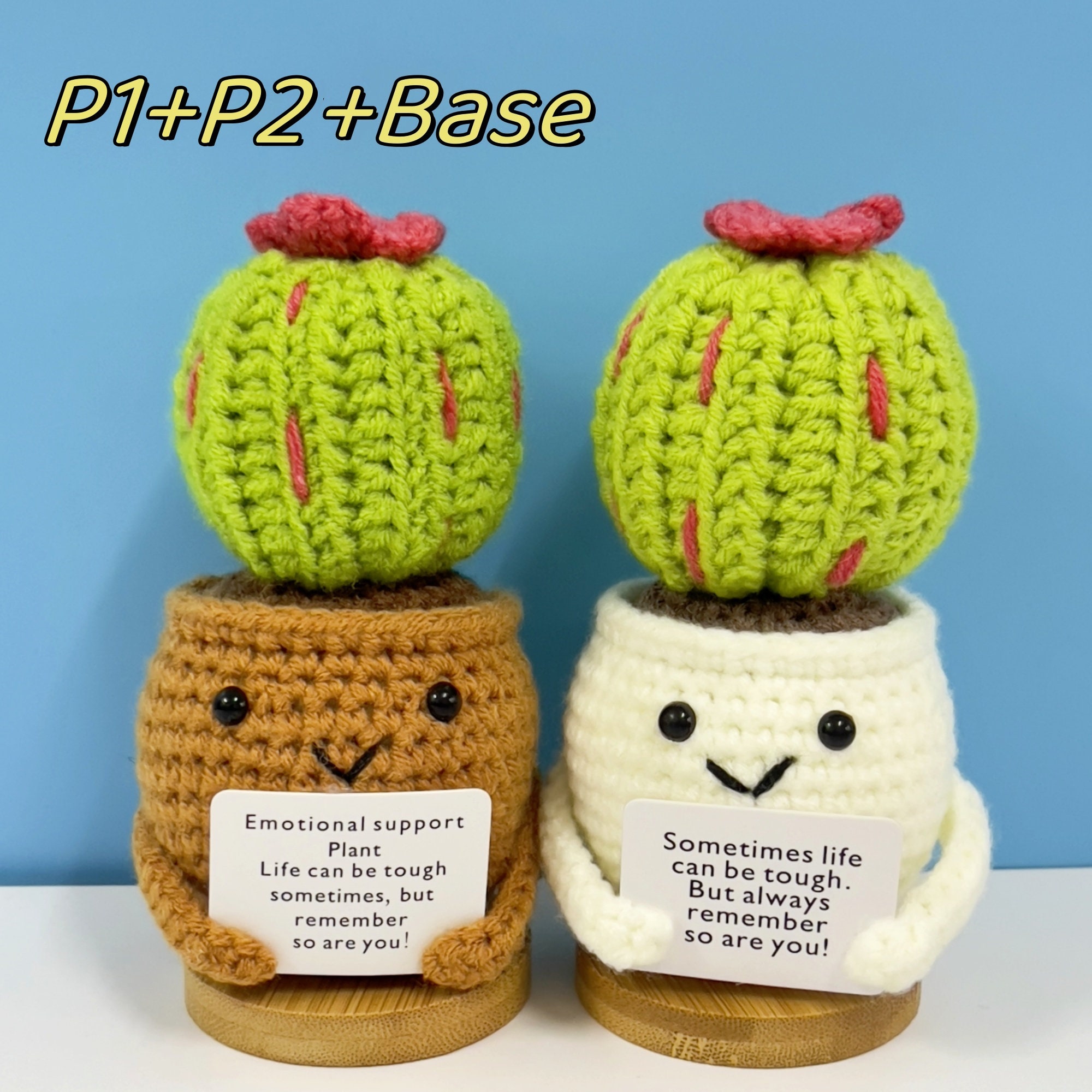 Custom Crochet Cactus/succulent Plant,emotional Support Cactus,mental ...