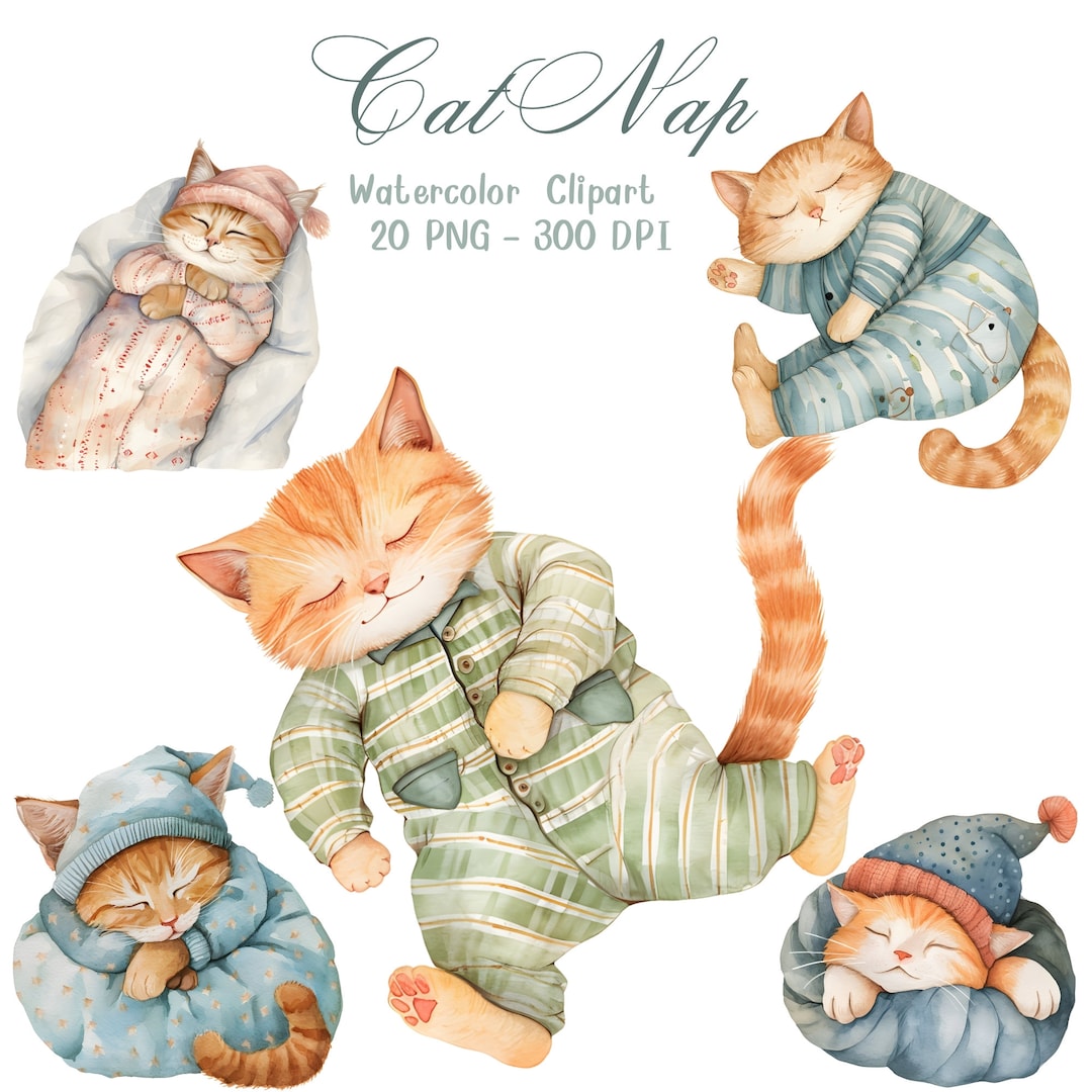 Watercolor Cute Cozy Cat Nap Printable Wall Art,cat Sublimation PNG ...
