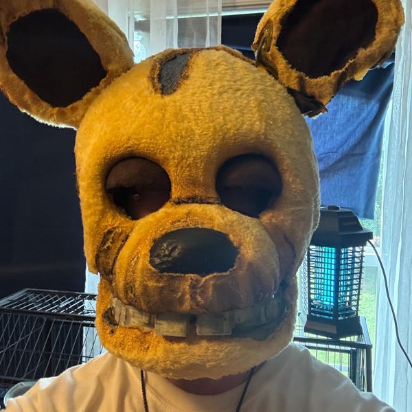 Spring Bonnie Costume - Etsy