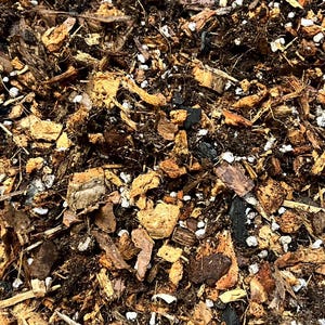 Premium Chunky Aroid Soil Mix for Houseplants – Well-draining Potting ...