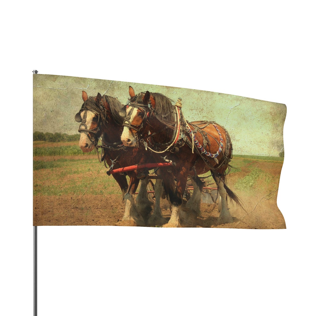 Majestic Clydesdale Horses Flag, Equestrian Decor, Horse Lover Gift - Etsy