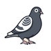Cute Pigeon Decal - Svg/dxf/png/jpeg - Pigeon Vector Image Instant ...