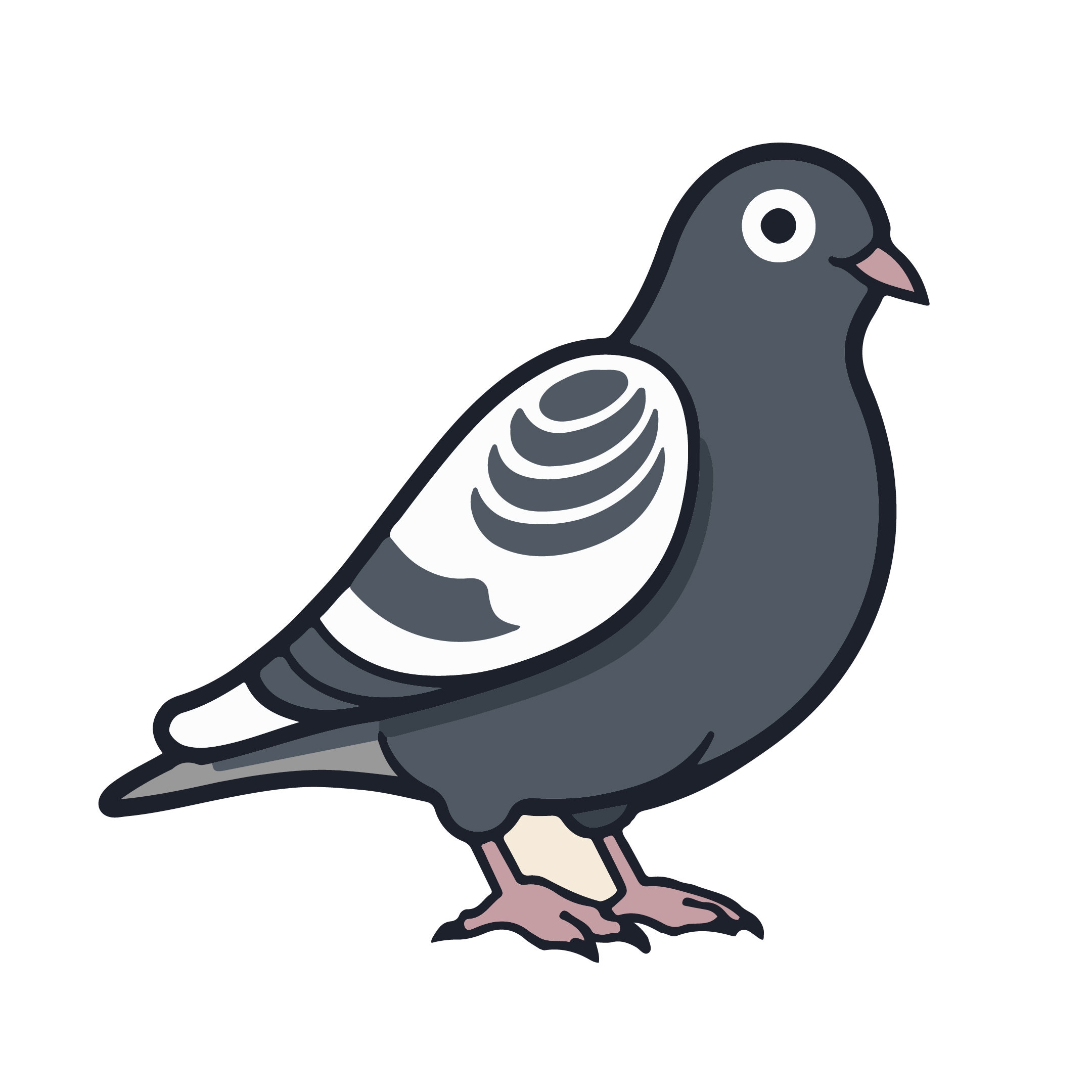 Cute Pigeon Decal - Svg/dxf/png/jpeg - Pigeon Vector Image Instant ...