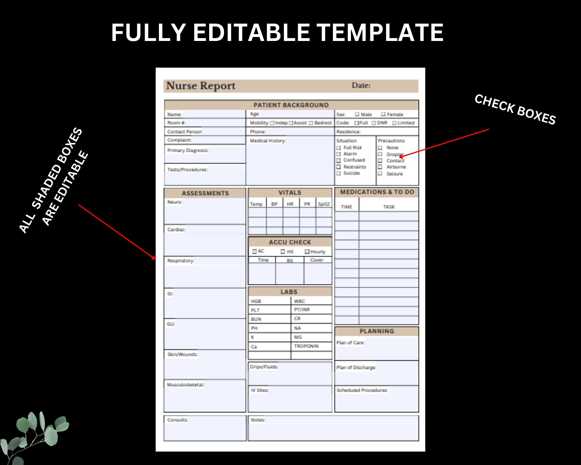 Editable Nursing Report Sheet, Nurse Brain Sheet, Printable Nurse ...
