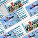 Printable Six Flags Surprise Ticket: Editable Boarding Pass (PDF) - Etsy
