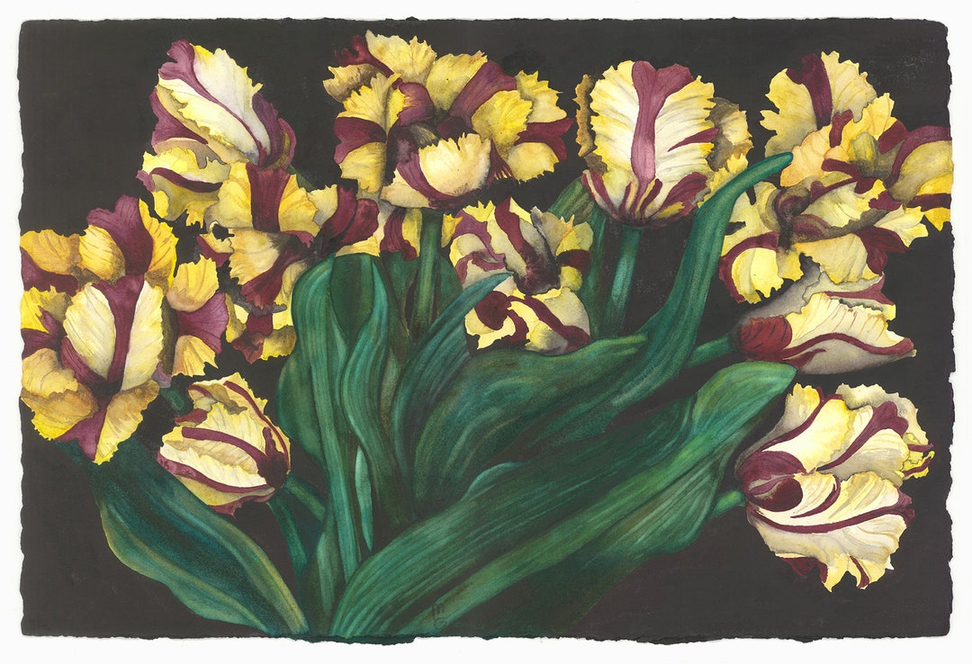 A Lovely Grouping of Rembrandt Tulips Original Watercolor Floral Wall ...