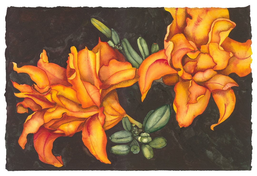 Grouping of Lovely Double Blooming Lilies Original Watercolor Floral ...