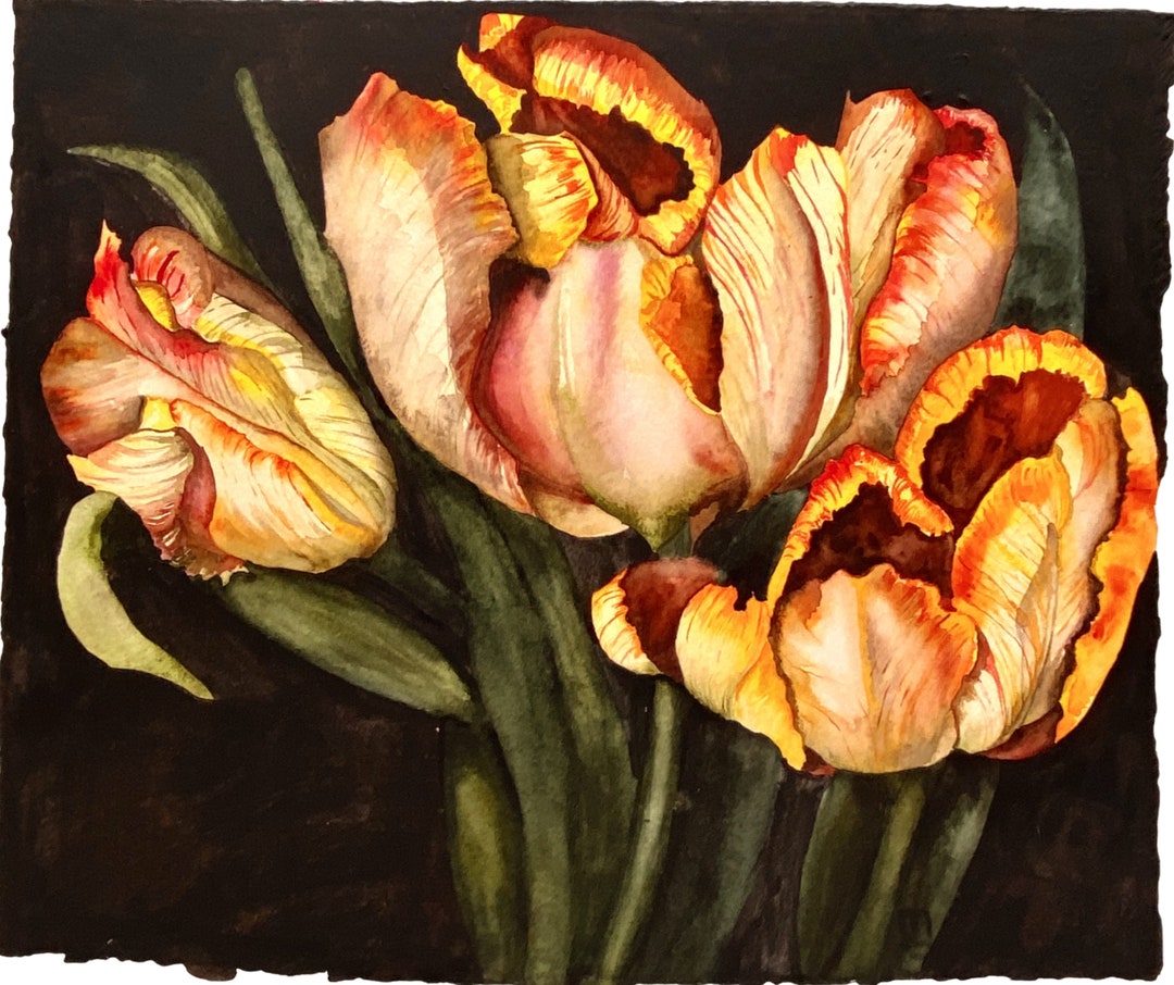 A Lovely Grouping of Parrot Tulips Original Watercolor Floral Wall Art ...