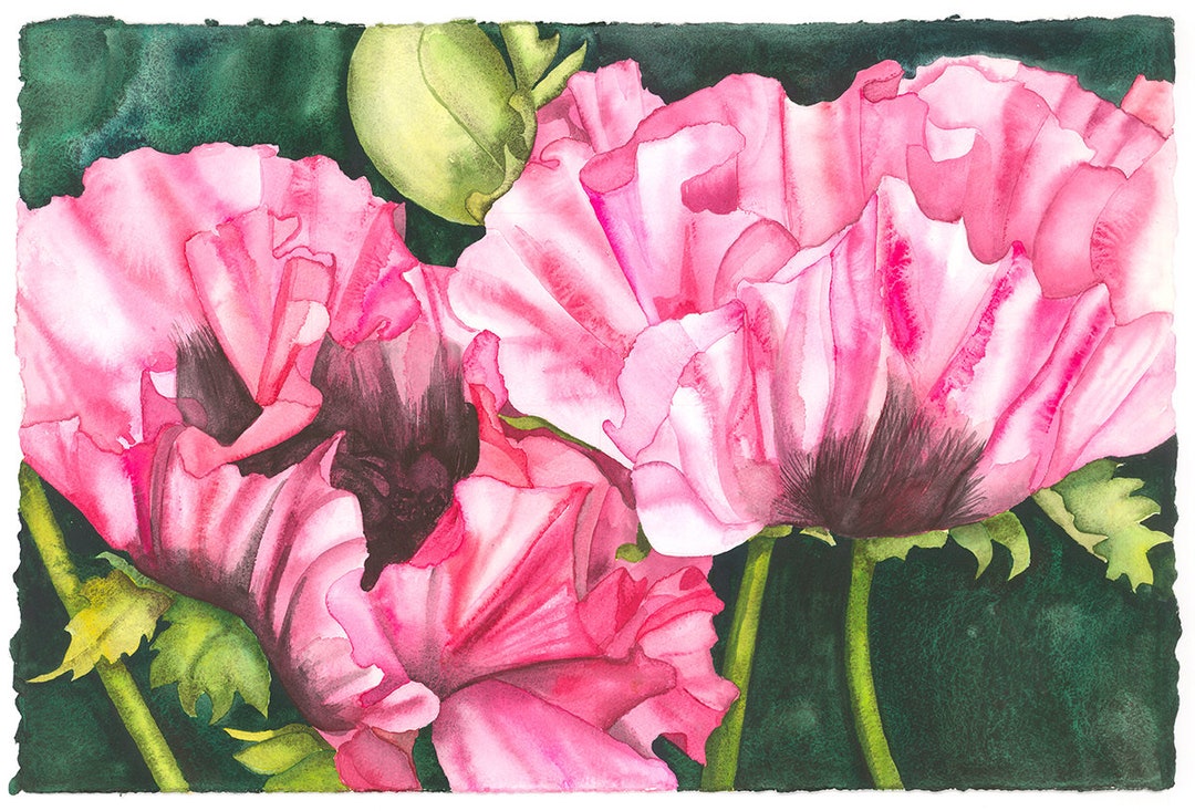 A Lovely Grouping of Giant Poppies Original Watercolor Floral Wall Art ...