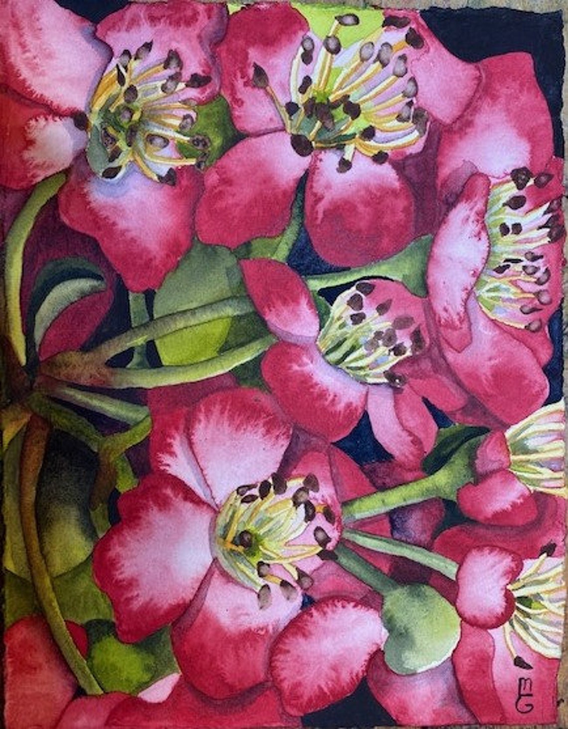 A Lovely Grouping of Cherry Blossoms Original Watercolor Floral Wall ...