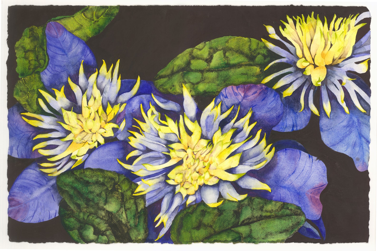 Clements Original Watercolor Floral Wall Art Painting by Mary Lyn Gough ...