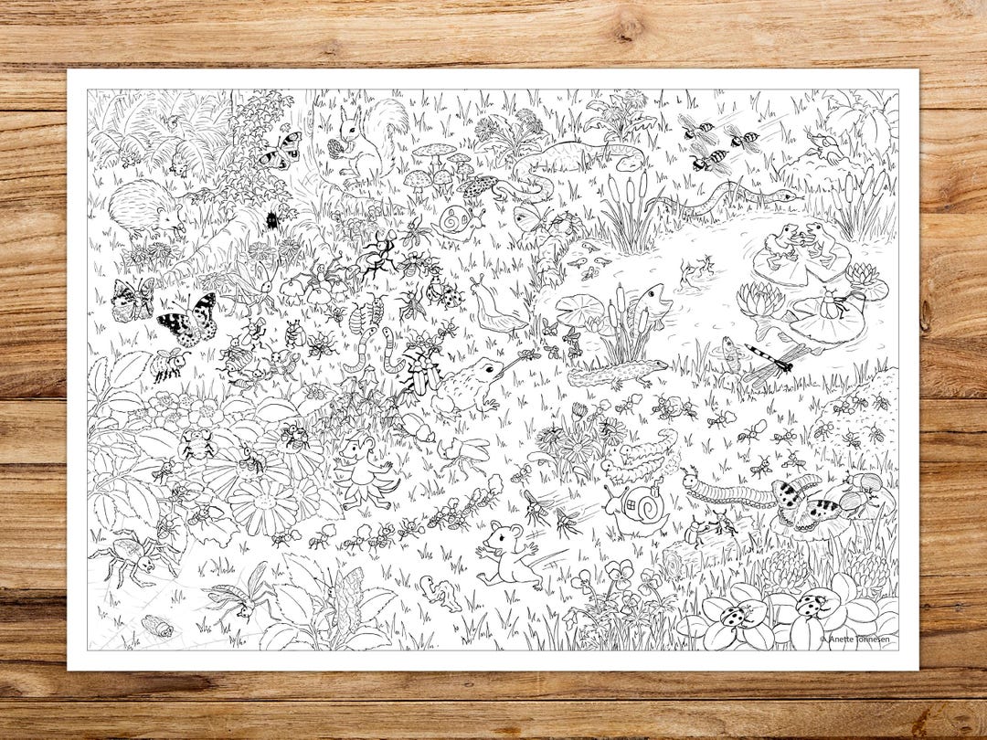 Bugs Search and Find Coloring Page, Color Bugs and Animals, Activity ...