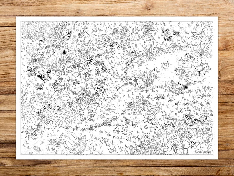 Bugs Search and Find Coloring Page: Kids Activity Print (digital ...