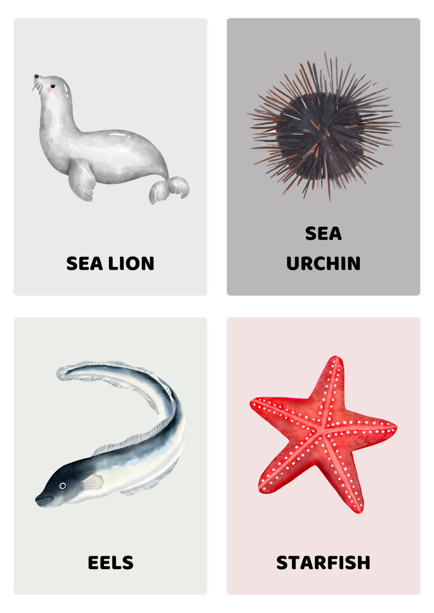 24 Ocean Animals Flashcards Image Cards for Kids Preschool Kindergarten ...