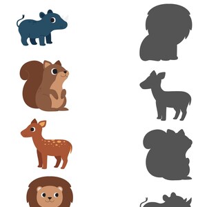 30 Shadow Matching Activity Worksheets, Match the Picture, Kindergarten ...