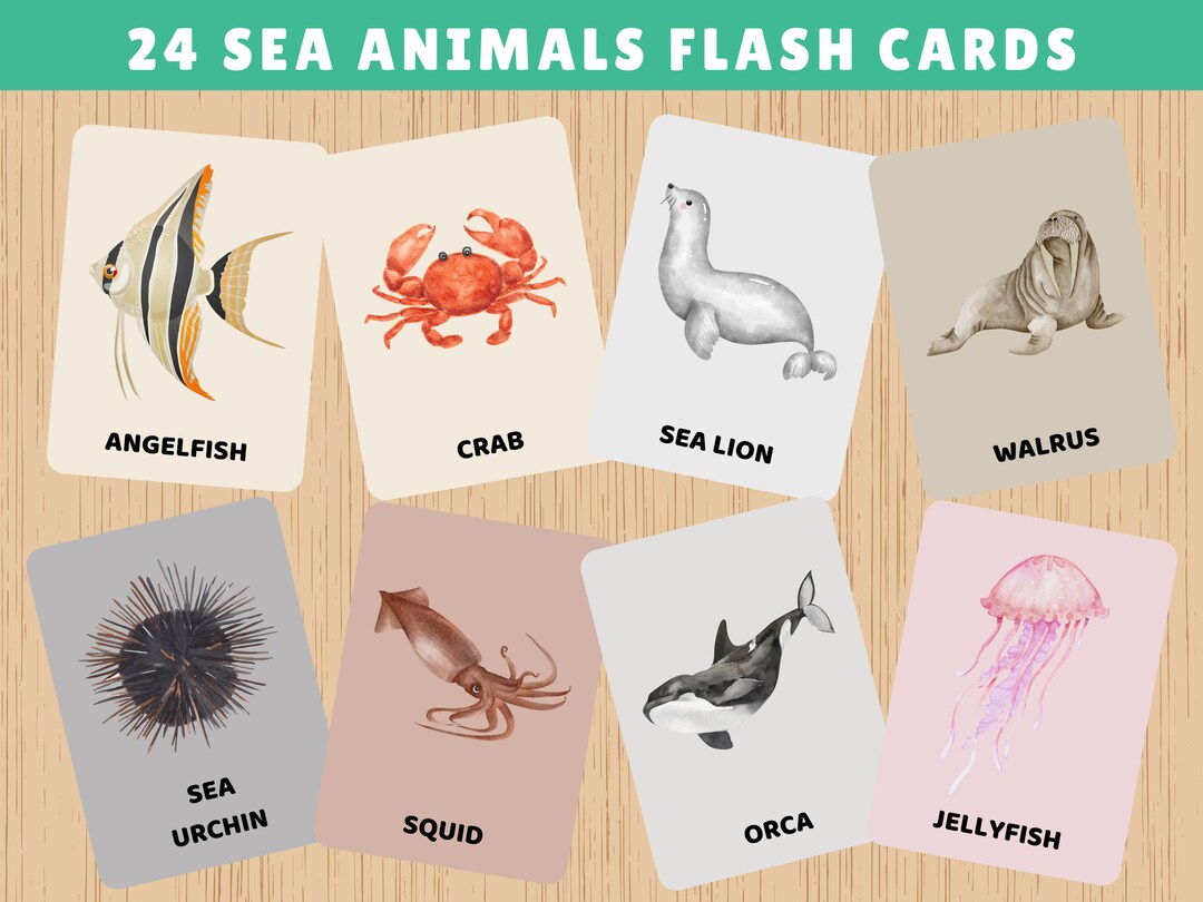 24 Ocean Animals Flashcards Image Cards for Kids Preschool Kindergarten ...