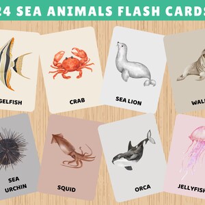 24 Ocean Animals Flashcards Image Cards for Kids Preschool Kindergarten ...