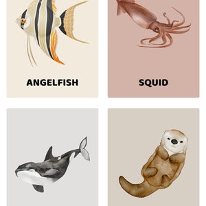 24 Ocean Animals Flashcards Image Cards for Kids Preschool Kindergarten ...