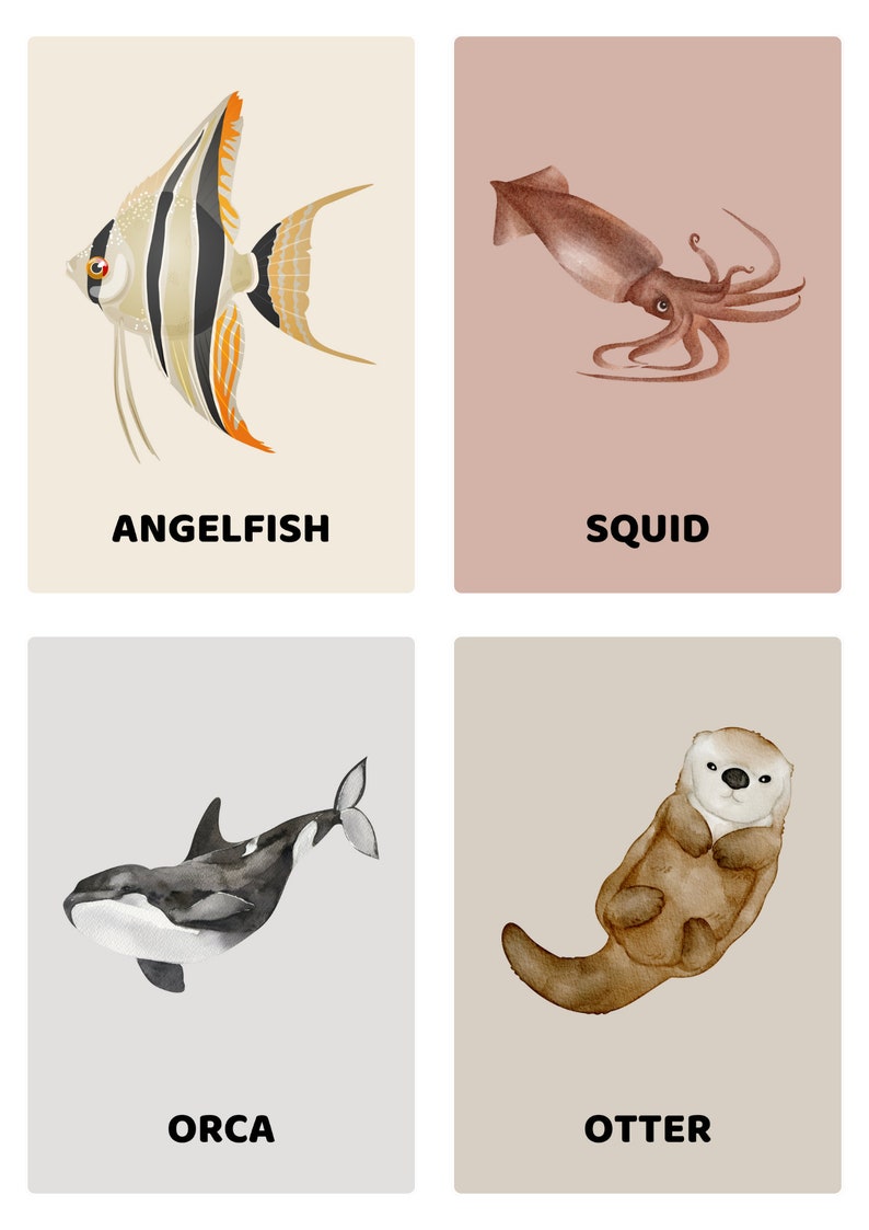 24 Ocean Animals Flashcards Image Cards for Kids Preschool Kindergarten ...