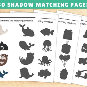 30 Shadow Matching Activity Worksheets, Match the Picture, Kindergarten ...