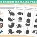 30 Shadow Matching Activity Worksheets, Match the Picture, Kindergarten ...