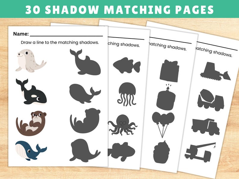 30 Shadow Matching Activity Worksheets, Match the Picture, Kindergarten ...