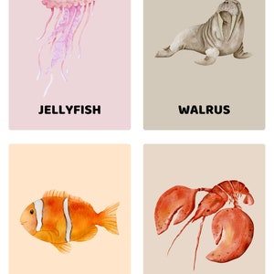 24 Ocean Animals Flashcards Image Cards for Kids Preschool Kindergarten ...
