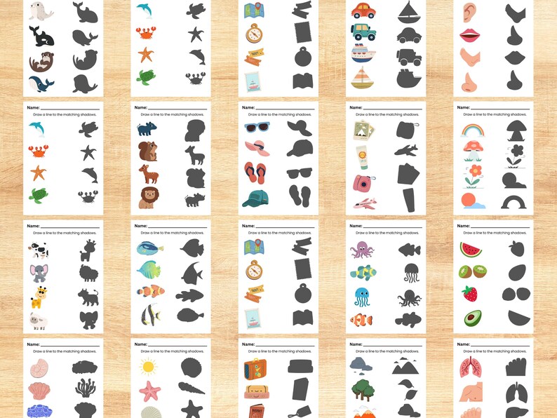 30 Shadow Matching Activity Worksheets, Match the Picture, Kindergarten ...